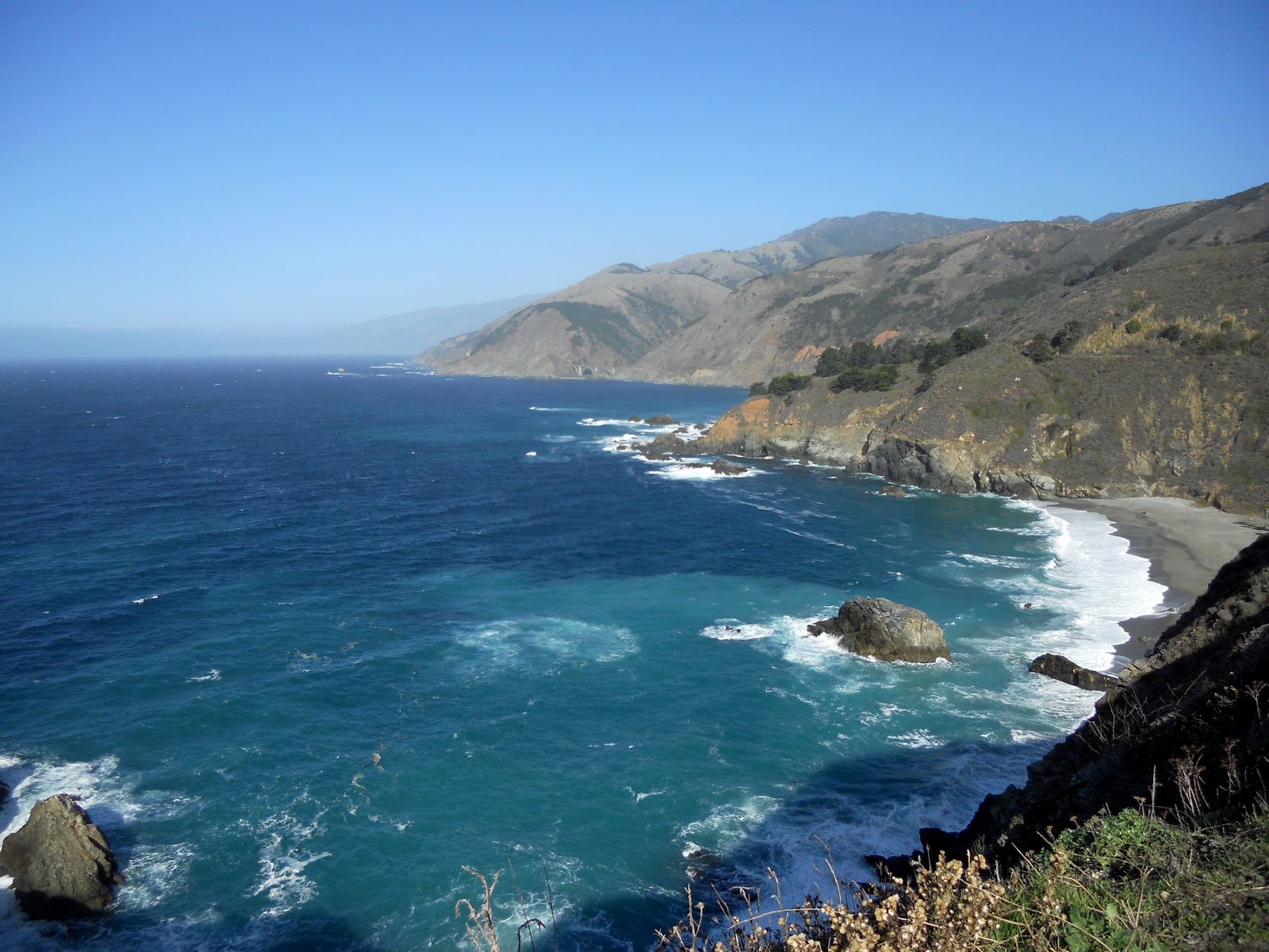 Lasihelmipeli - vuosi Harvardissa: Occupy Musicology