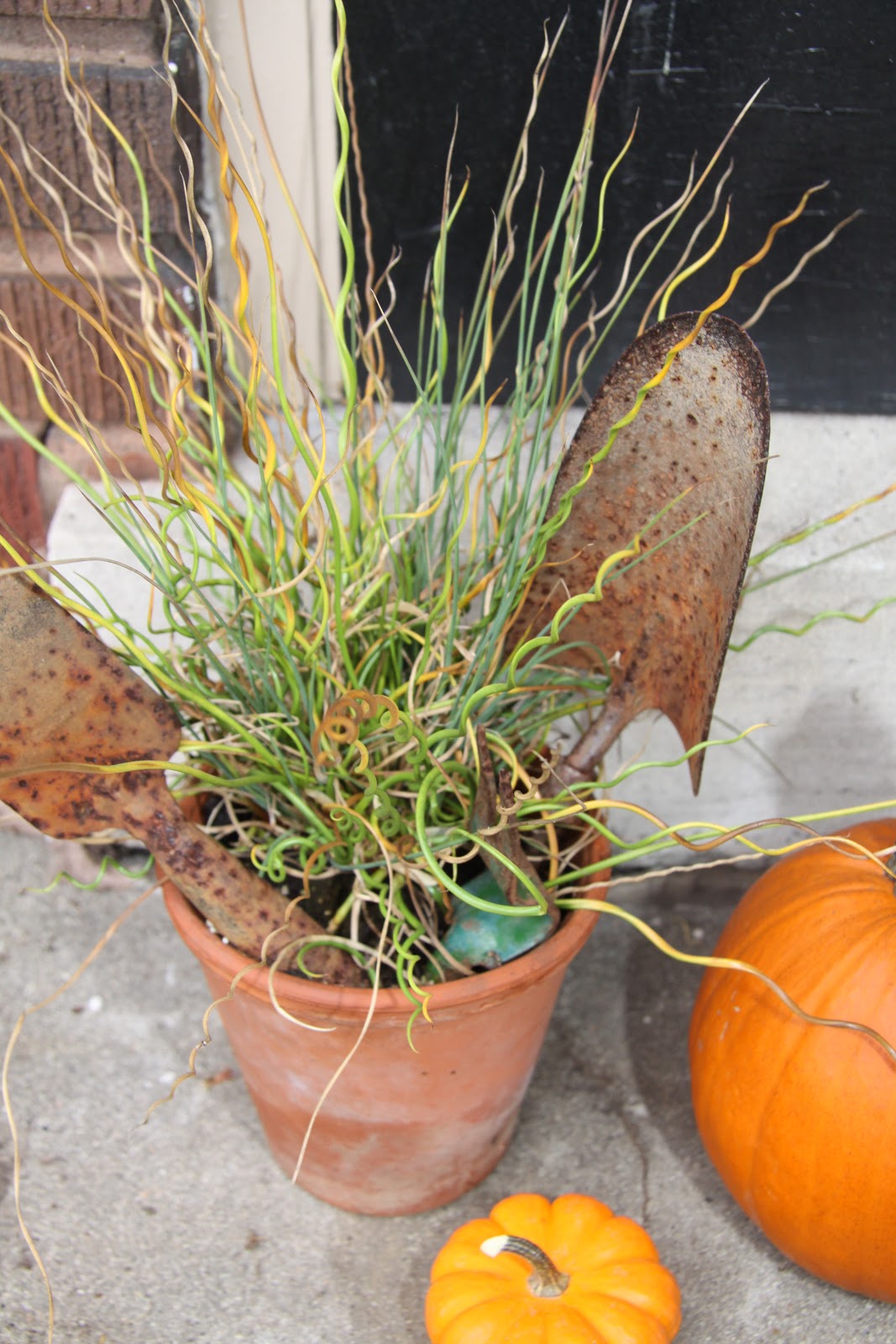 lisa gammel maas: in clover: time for a change