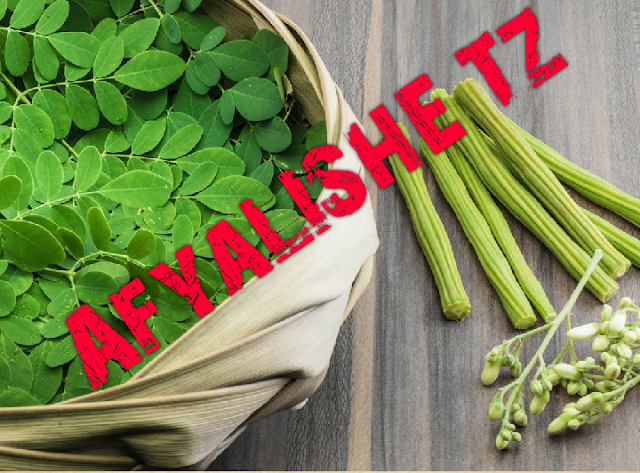 MORINGA BENEFITS/ FAIDA ZA MLONGE