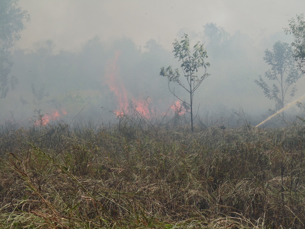 Brunei Fire&Rescue Department Appliances: Bushfire at Jalan Singa ...