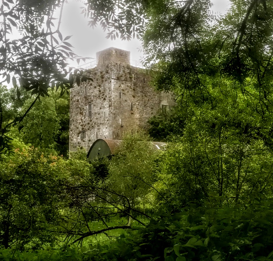 Patrick Comerford: The exotic canon and count in Georgian Limerick who ...