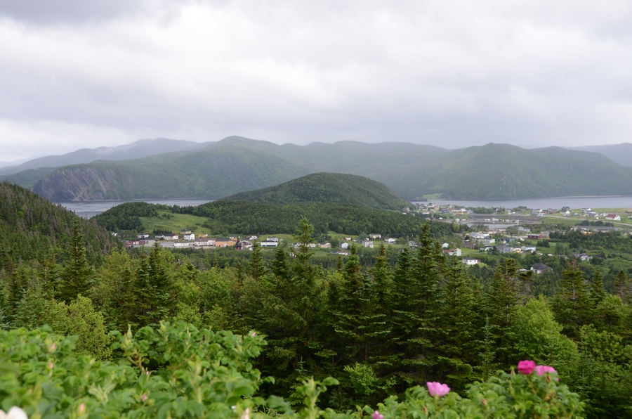 Not quite Marco Polo: Deer Lake, Newfoundland