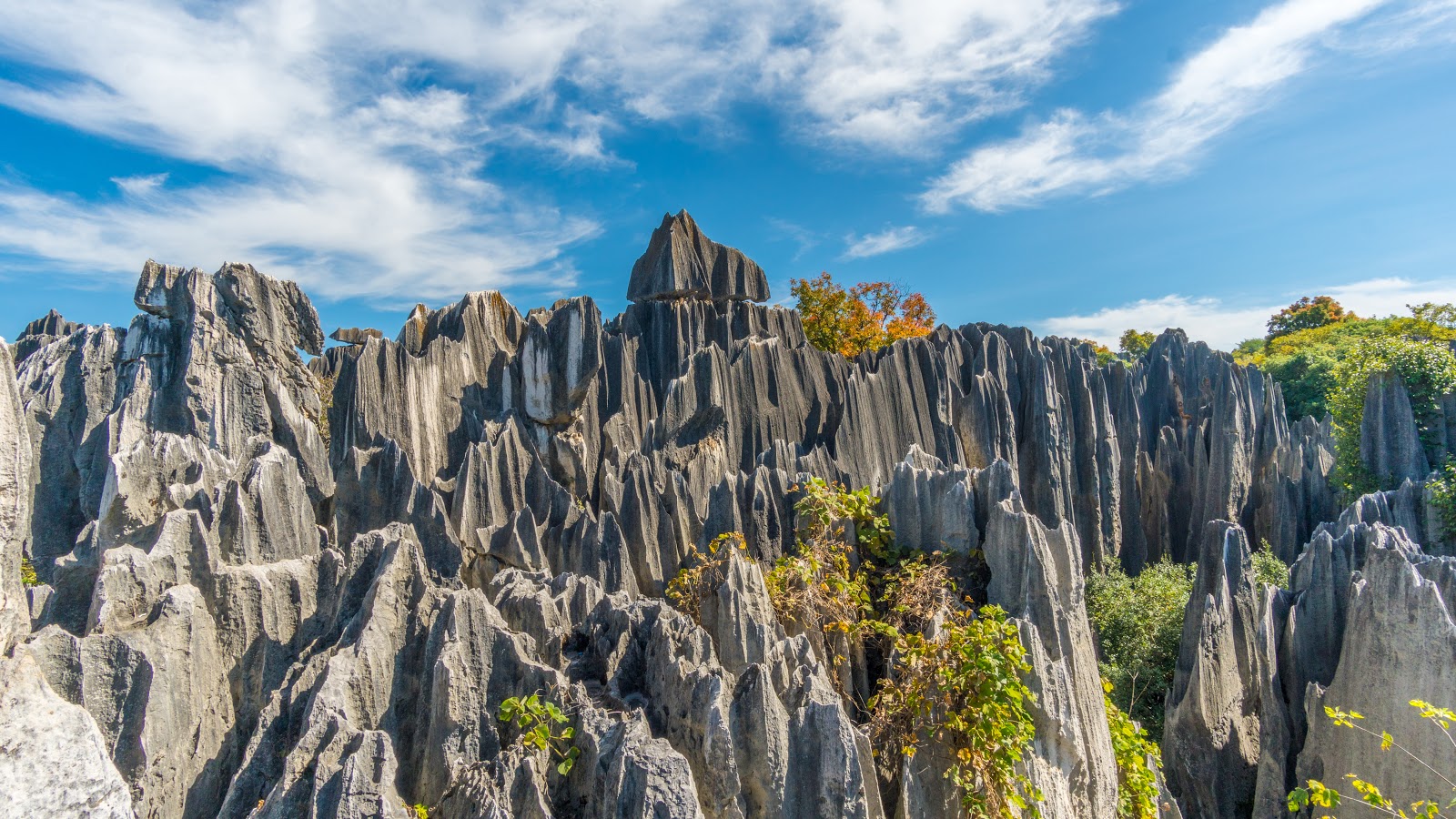 Stone Forest, Shilin, Kunming.