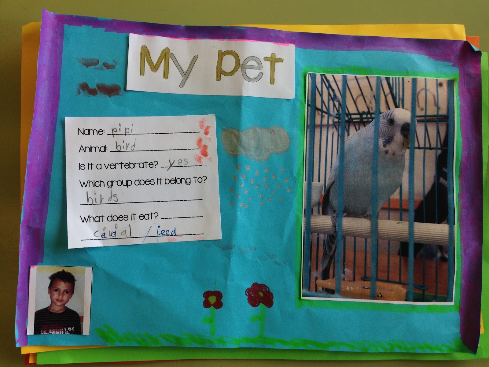 SCIENCE IN THE SCHOOL: My Pet