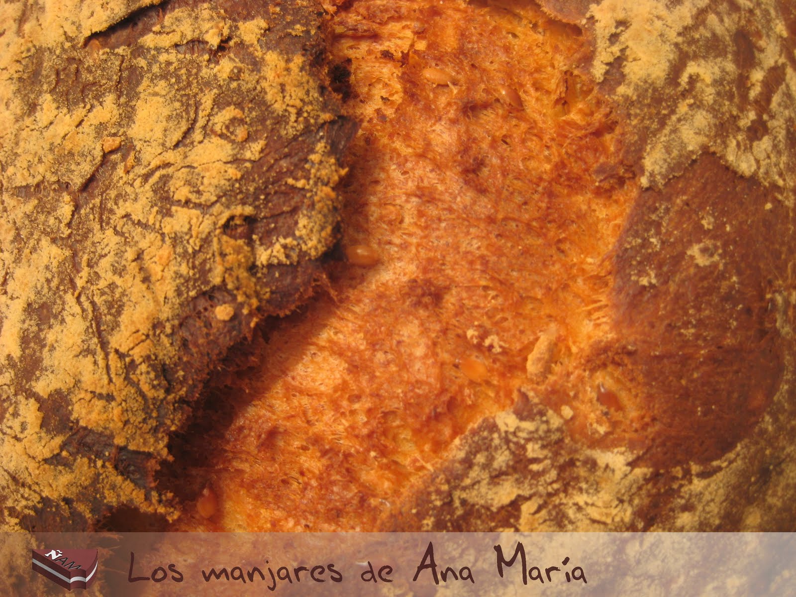 Los manjares de Ana María: Pan de mantequilla