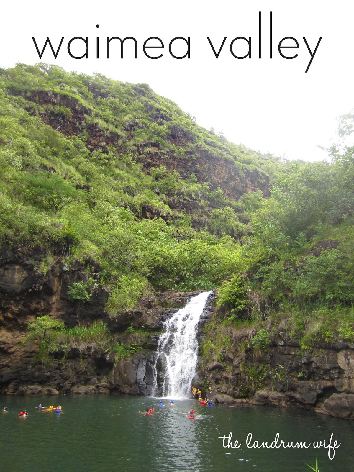 And Drink the Wild Air: Getting to Know Hawaii: Waimea Valley