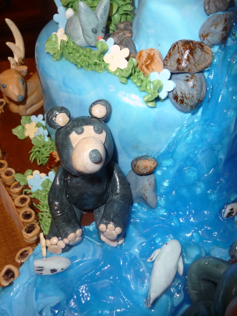 Icing On Top -- Cakes for Every Occasion: Wild Wonderful Wilderness ...