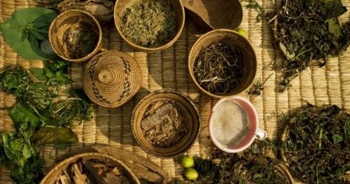 About Health: Traditional African medicine