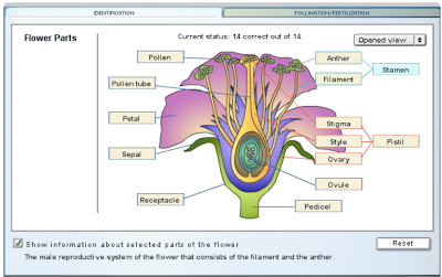 Mrs. Poulseen's Blog: Science 4/13/2012