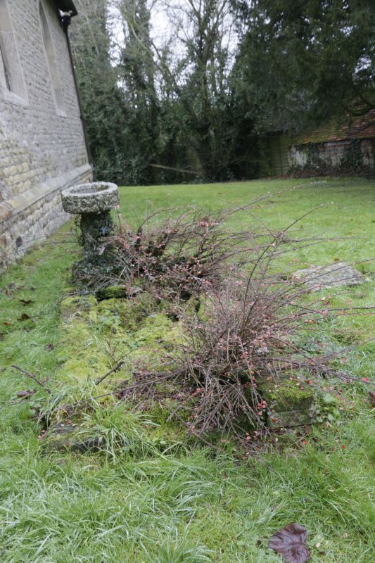The Church Explorer: St Mary Magdalen Stoke Talmage