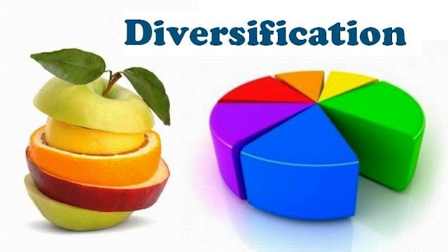 Guide de cours en économie générale: Stratégie de diversification ...