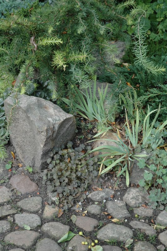 HAVETID: Sten og planter.