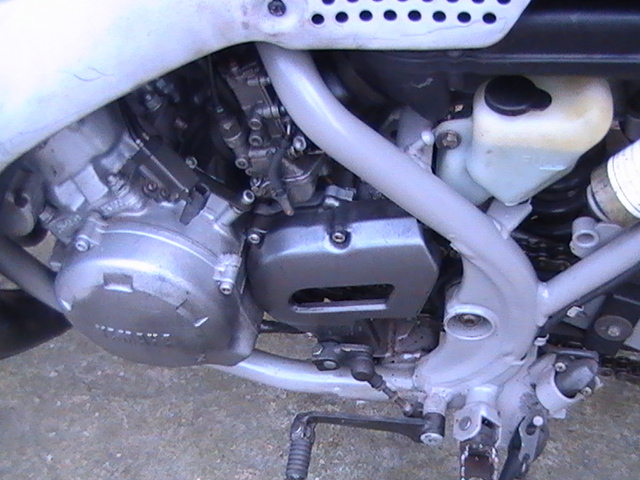 Below 300cc: 1989 Yamaha TDR 250