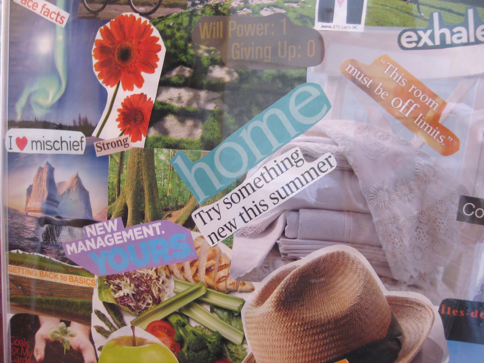 Life Begins at Retirement!: My Vision Board 2012