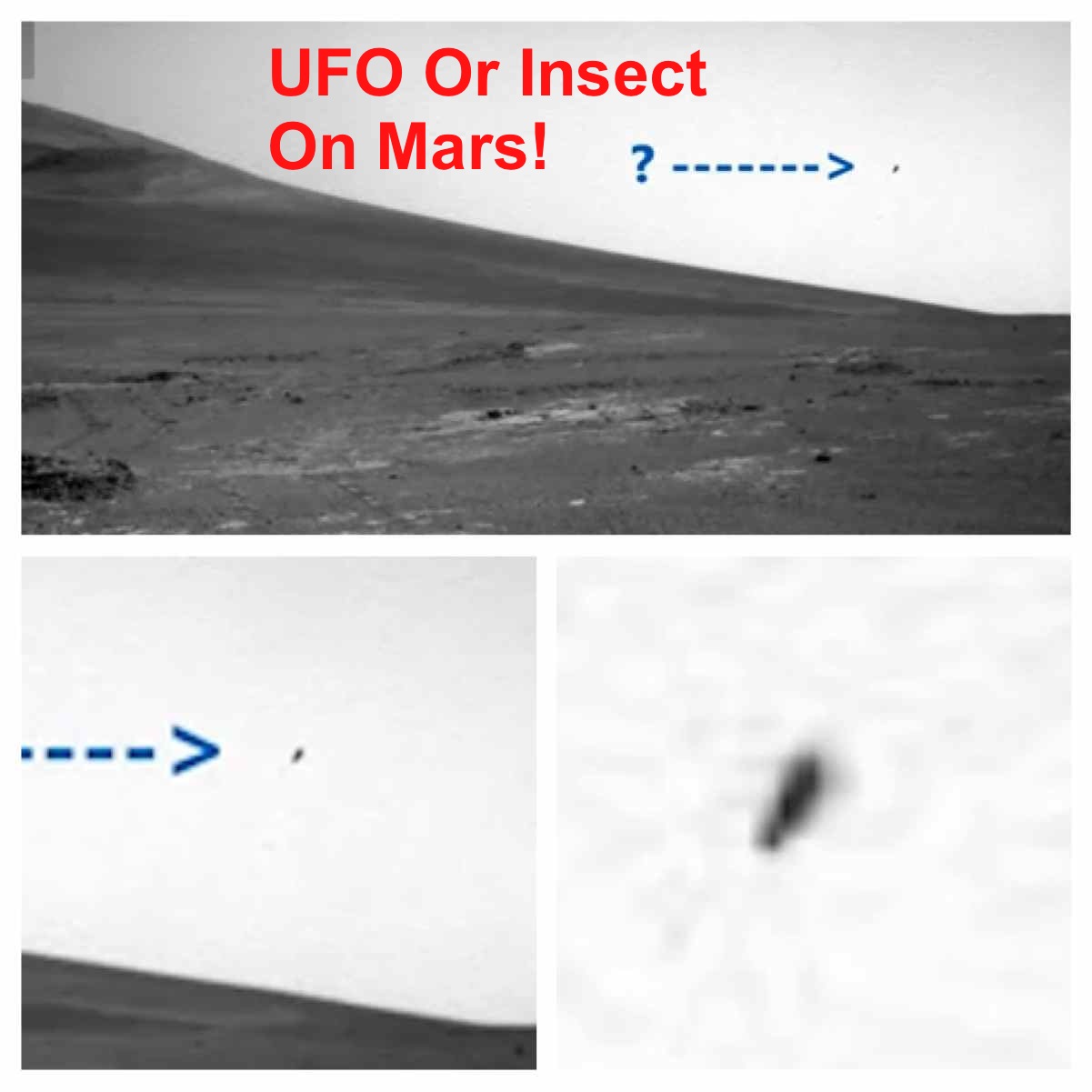 UFO SIGHTINGS DAILY: Rover Photo Captures Flying Object, March 2013.