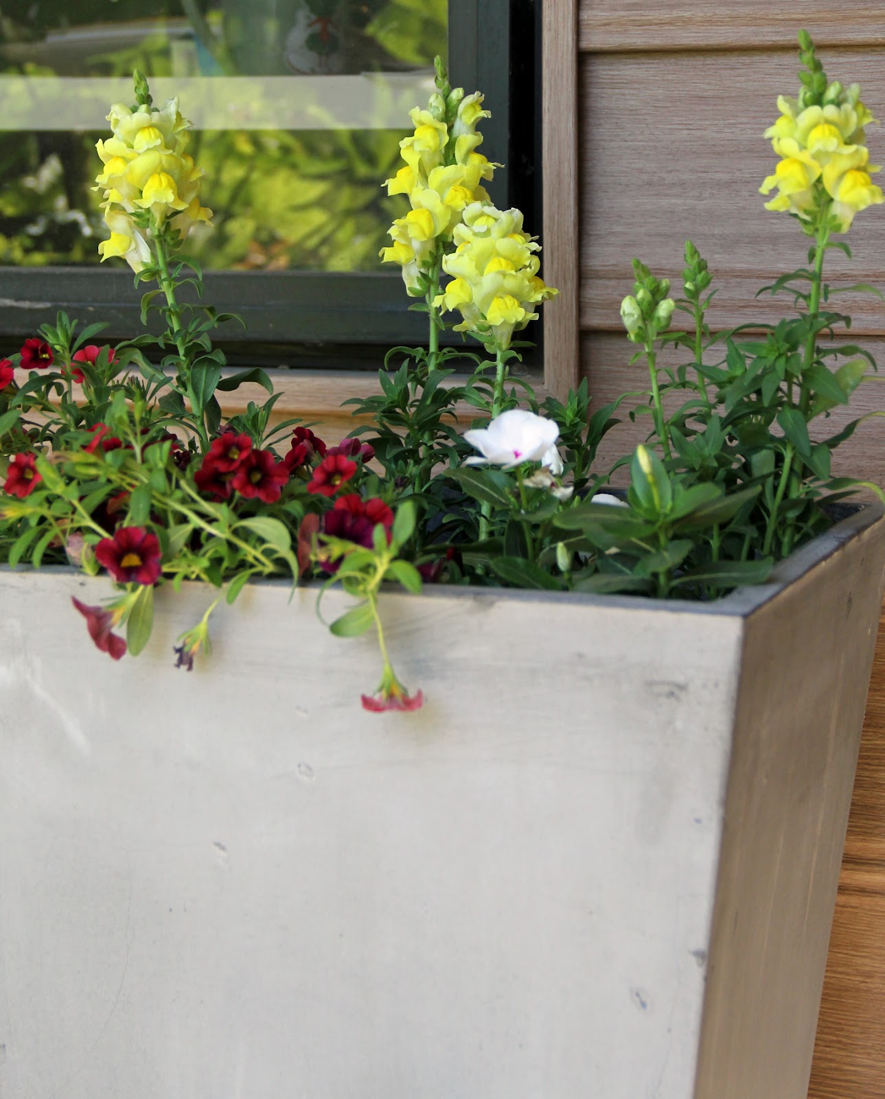 Design R: Flower Pots