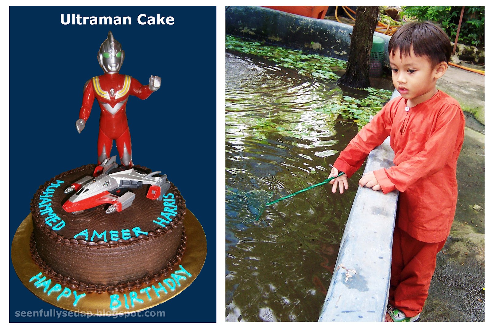 Seenfully Sedap: Ultraman Birthday Cake