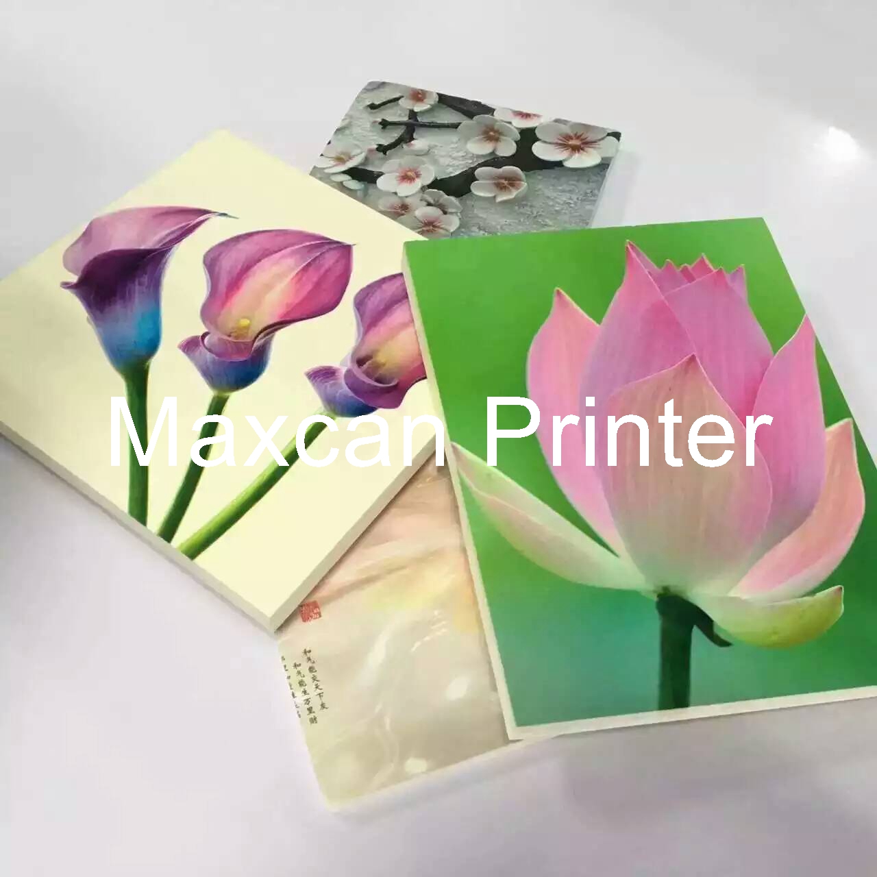 China Color Printing Machine: Maxcan Ceramic tile Printing Machine