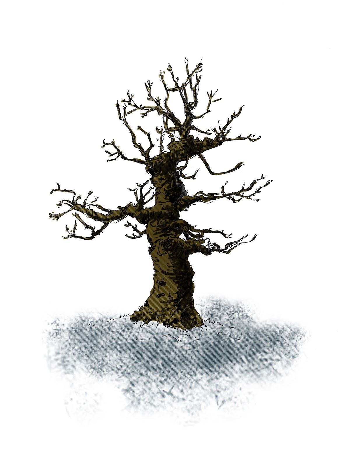 Gethsemane trees — JJJaspersen Studios