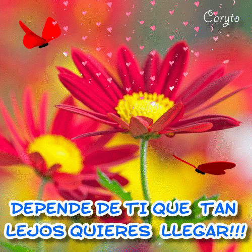 PURO GIFS!: DEPENDE DE TI QUE TAN LEJOS QUIERES LLEGAR