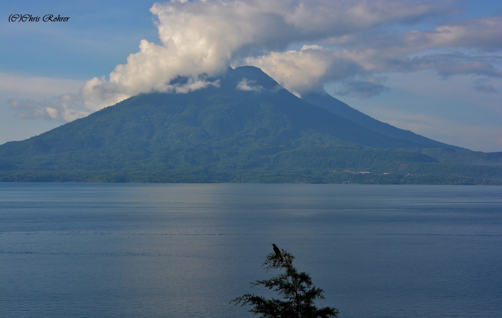 Birding Is Fun!: Birding Lake Atitlan