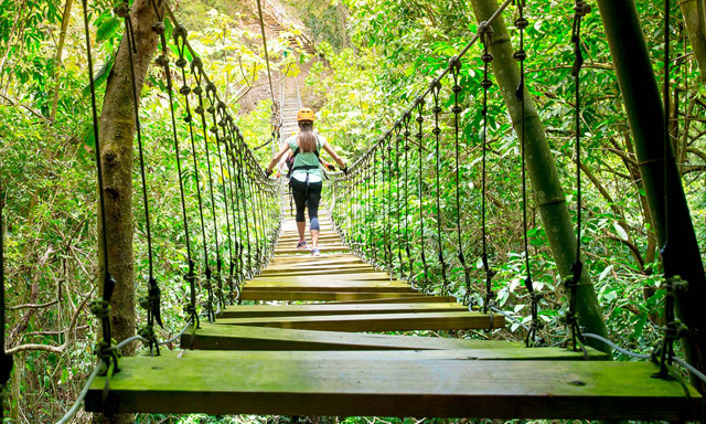 Invitan a visitar parque Toro Verde Adventure Park, en Puerto Rico