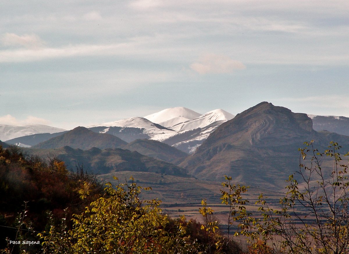 La Rioja de la A a la Z: PEDROSO - La Rioja