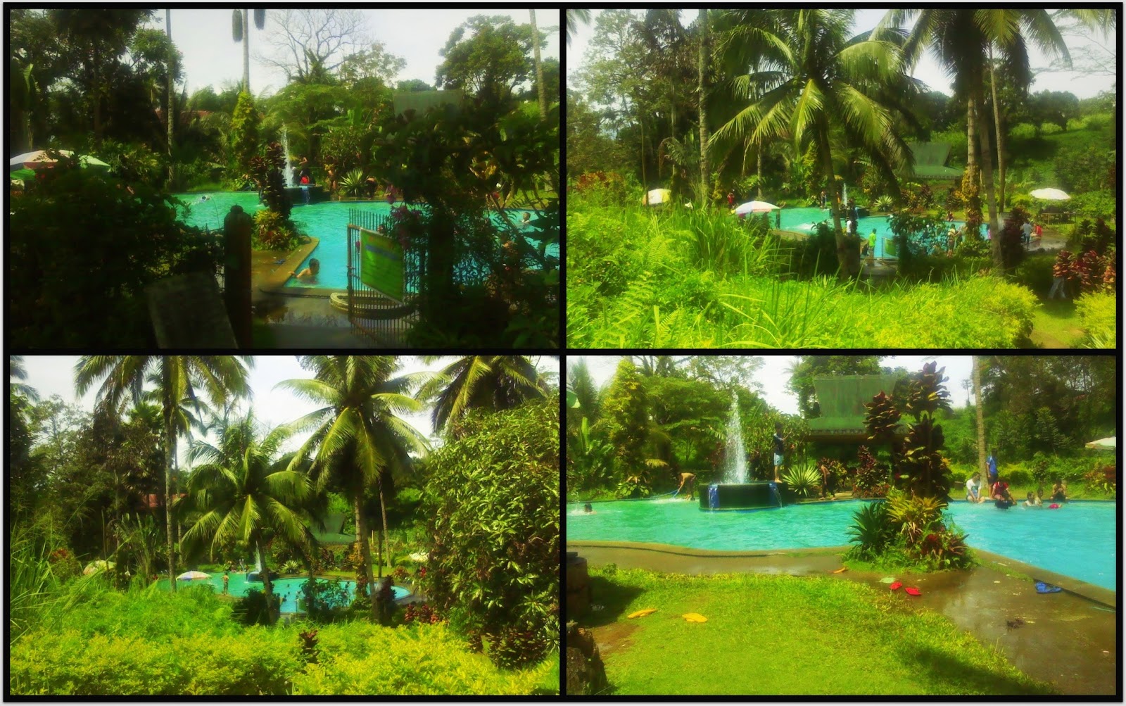 Marawi Resort Hotel Inc. (Mindanao State University Main Campus ...