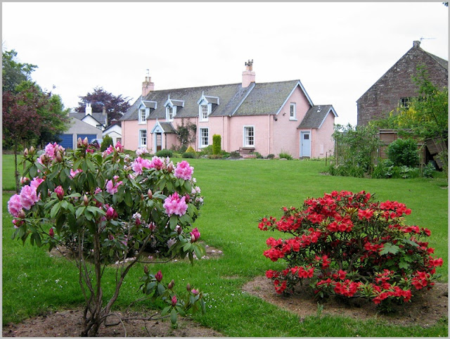 Pretty in Pink - Town & Country Living