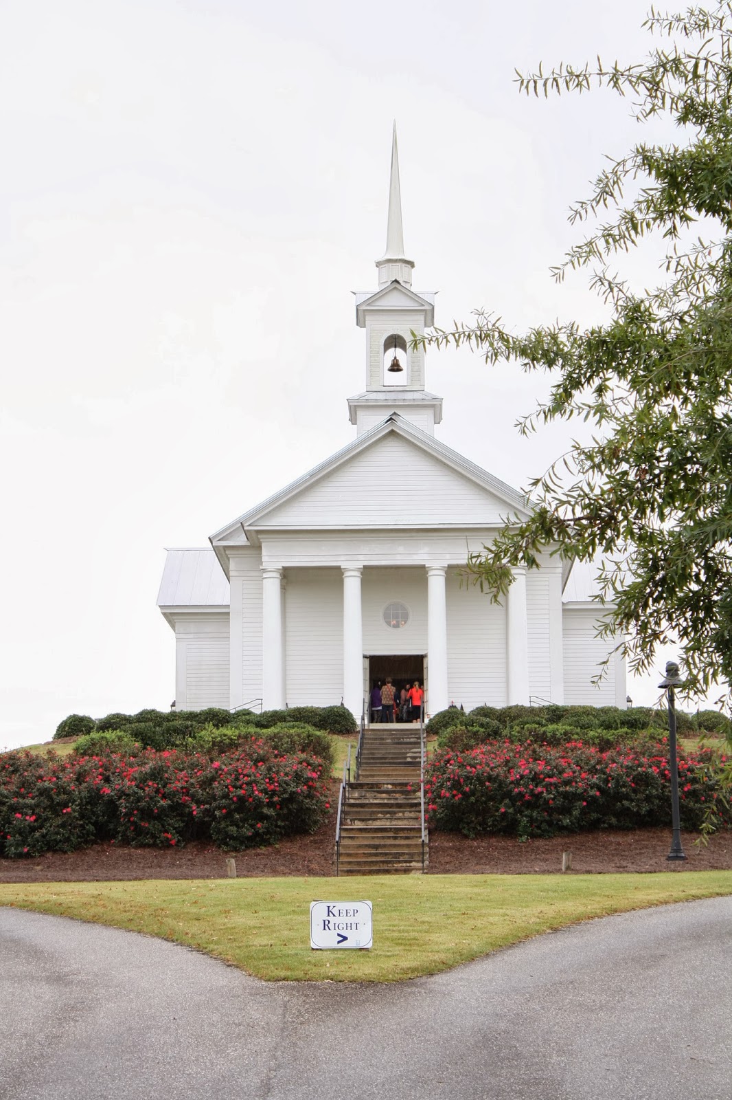 Coastal Charm: The Chapel Market