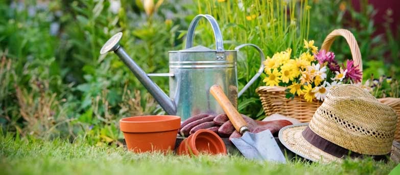 Meu Pomar: EQUIPAMENTOS NECESSÁRIOS PARA MANTER SEU JARDIM MAIS BONITO