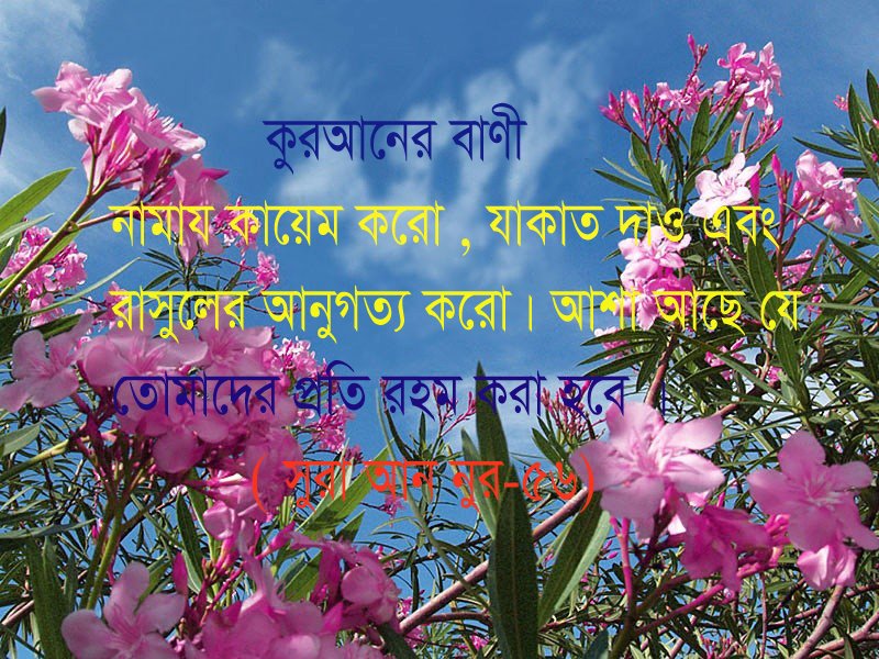 Hadith: BANGLA HADITH COLLECTION (1)