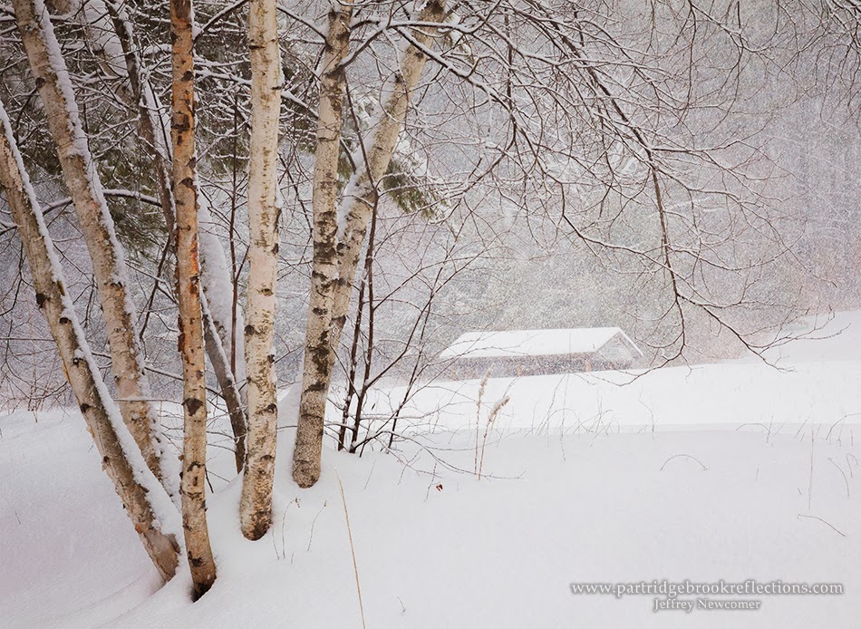 Getting it Right in the Digital Camera : Photographing Falling Snow