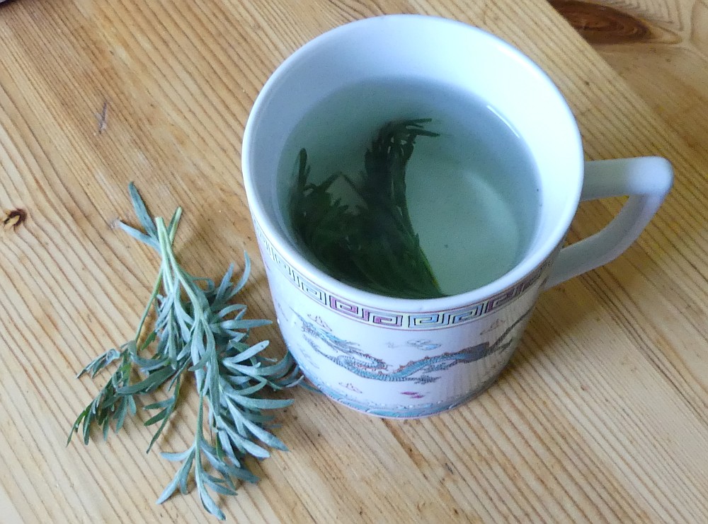 Barbaras Spielwiese: Wermut-Tee