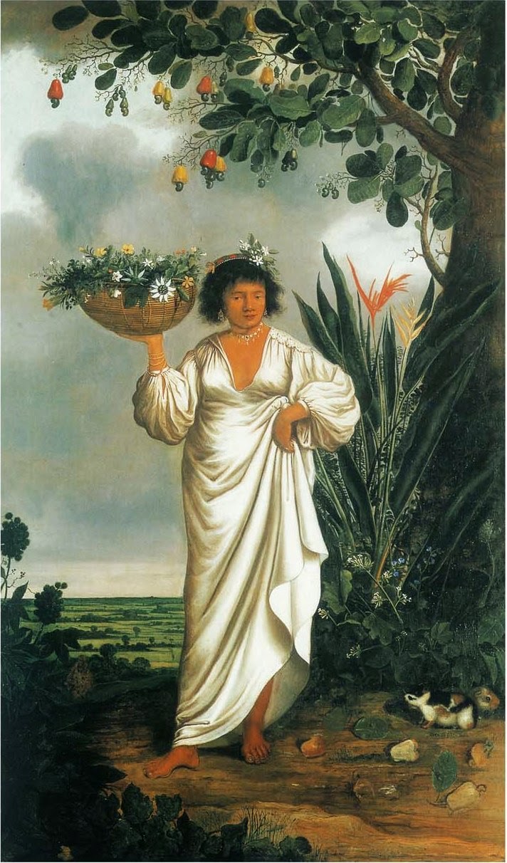 Tudo Sobre Pintura: Albert Eckhout Biografia e Obras / Luciano Cortopassi