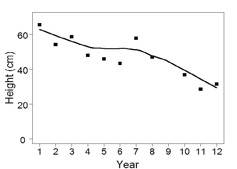 Central Pennsylvania Forestry: Garlic Mustard Management Update