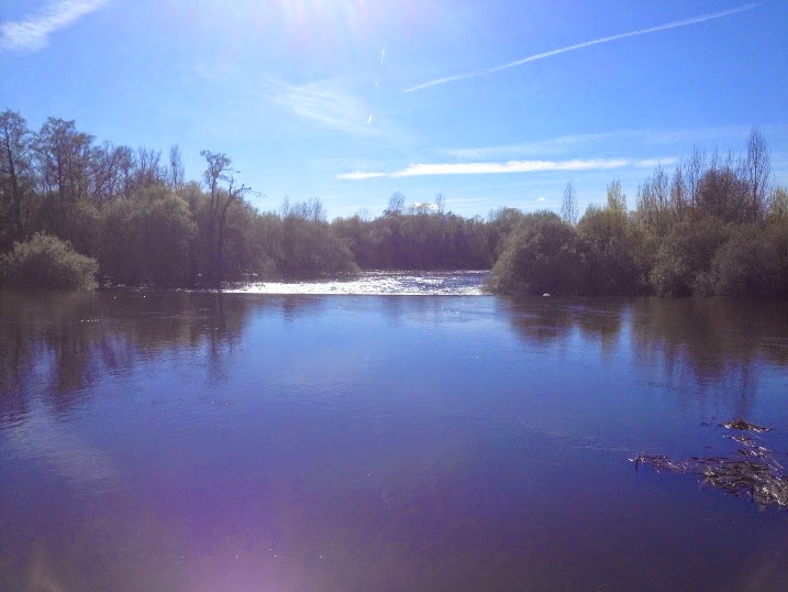Guias de turismo de Salamanca: EL RÍO TORMES A SU PASO POR SALAMANCA