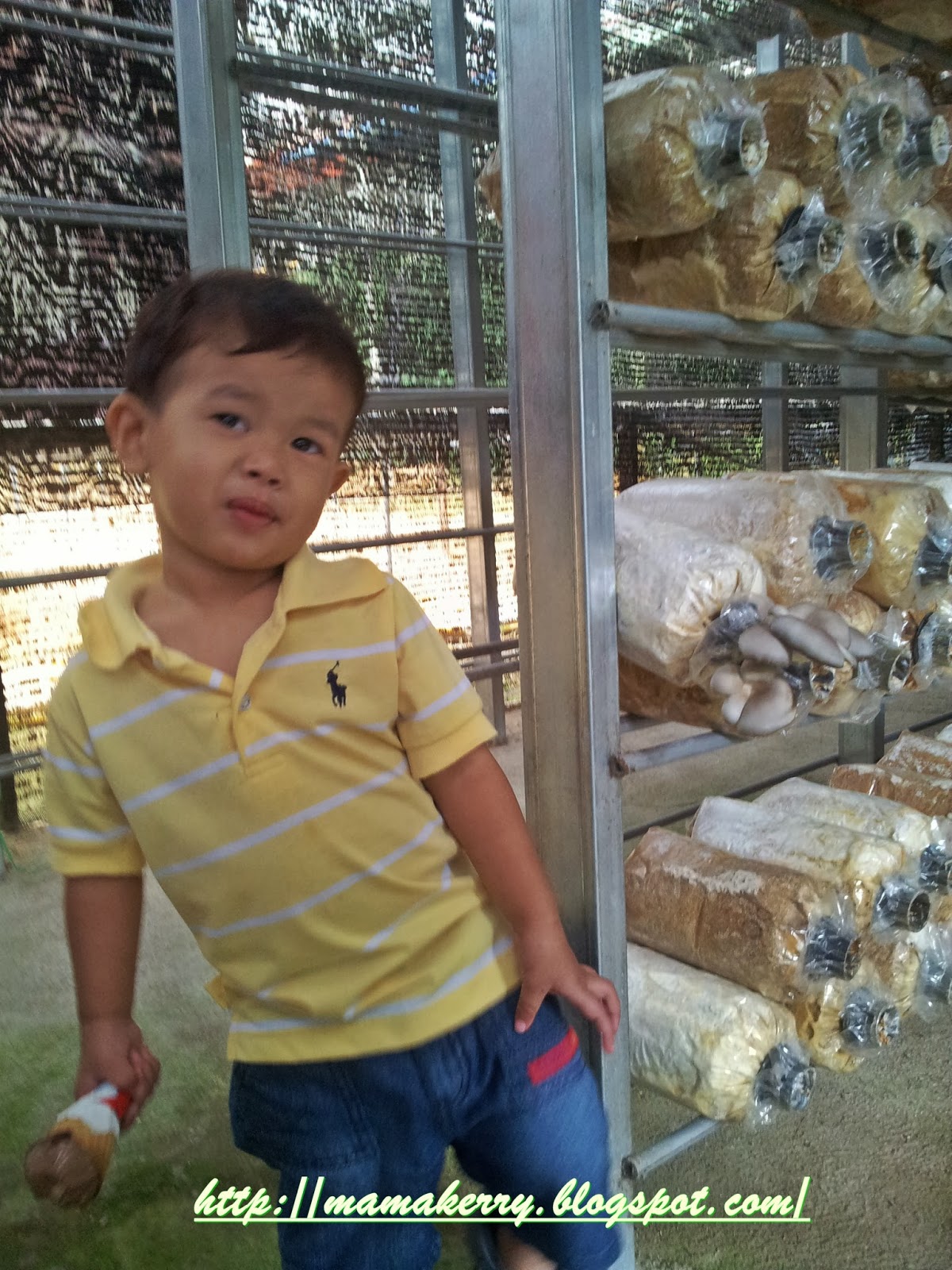 Sweetmama: Family Trip Cuti² Genting 2013 | Last Day ~ Singgah ke Mini ...