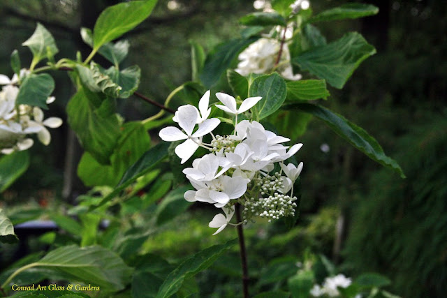 Conrad Art Glass & Gardens: An inch of the real thing and it's a new ...