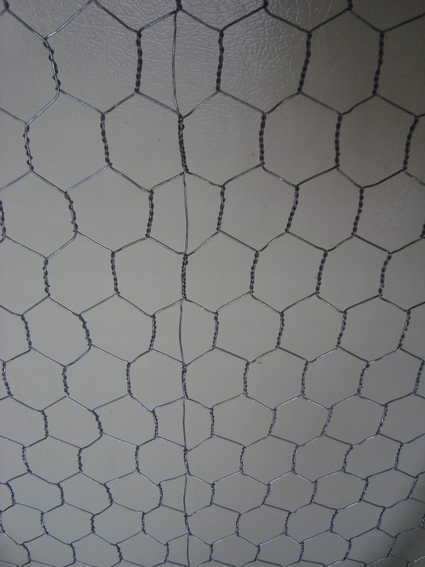 Polka-Dotty Place: DIY Chicken Wire Frame