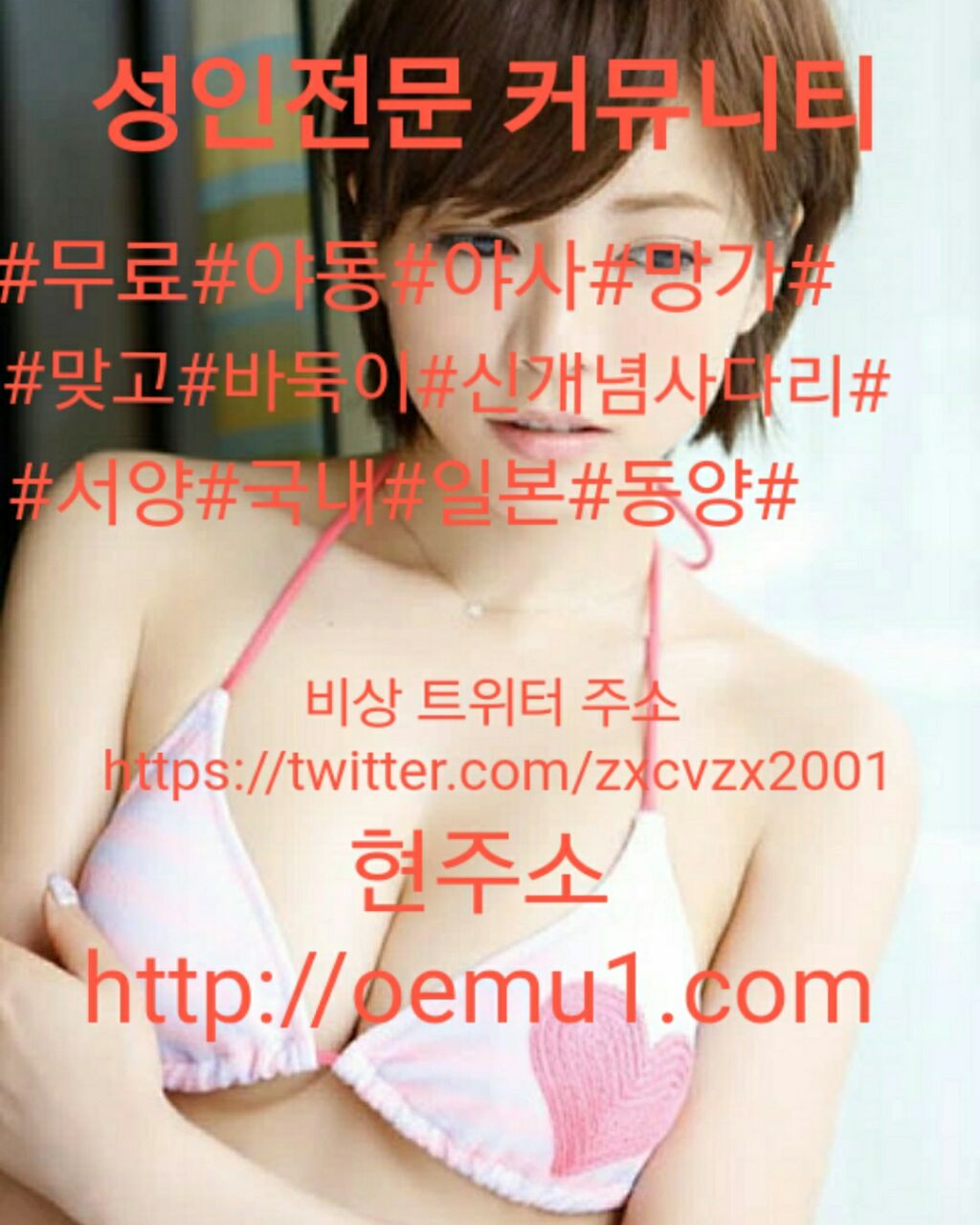 무료야동야설망가애니한국일본동양서양바두기사다리맞고 무료야동야설망가애니한국일본동양서양바두기사다리맞고
