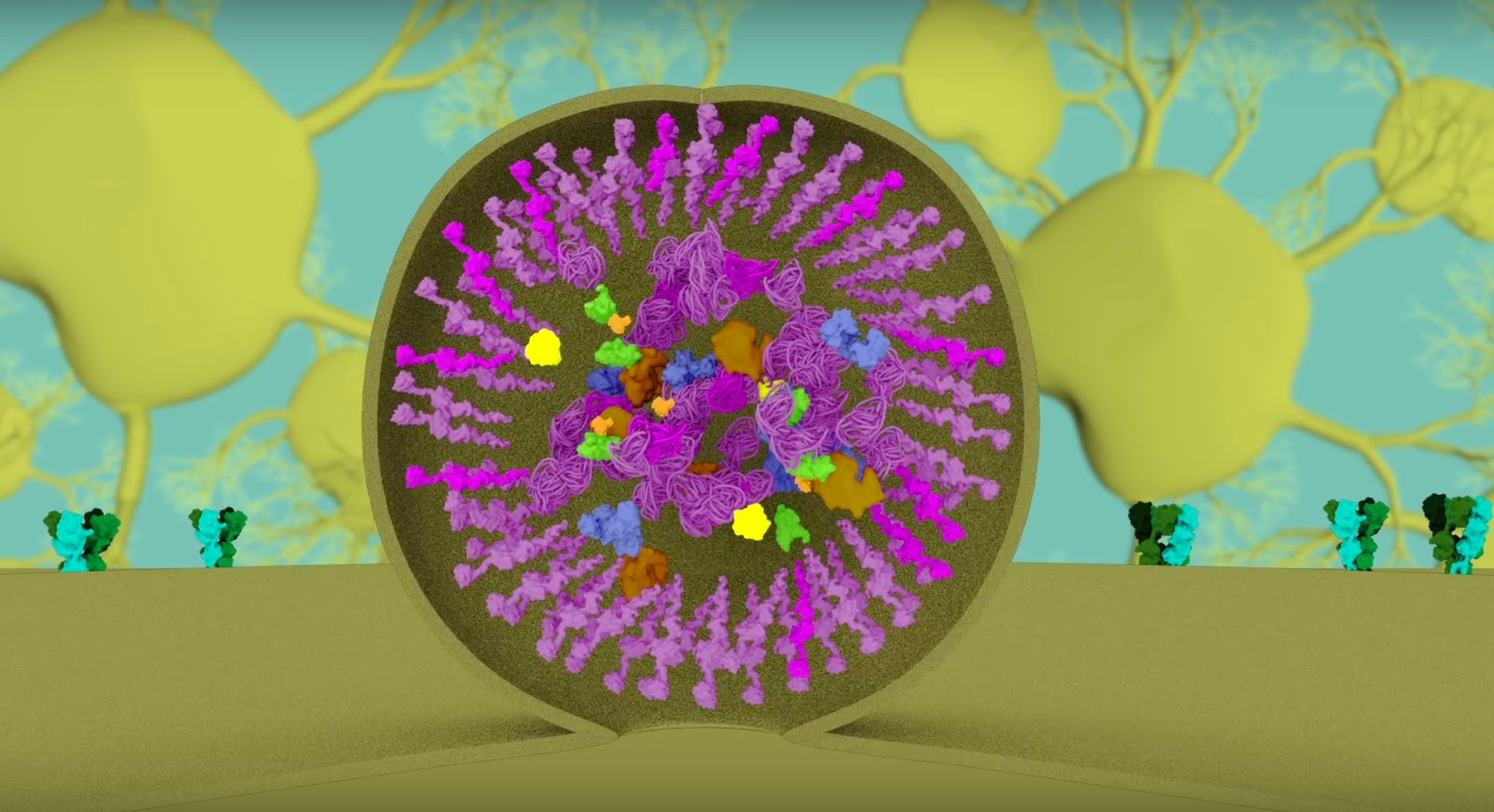 zerospinzone: AN INFECTIOUS IDEA -- A VIRUS-LIKE PROTEIN MAY BE CRUCIAL ...