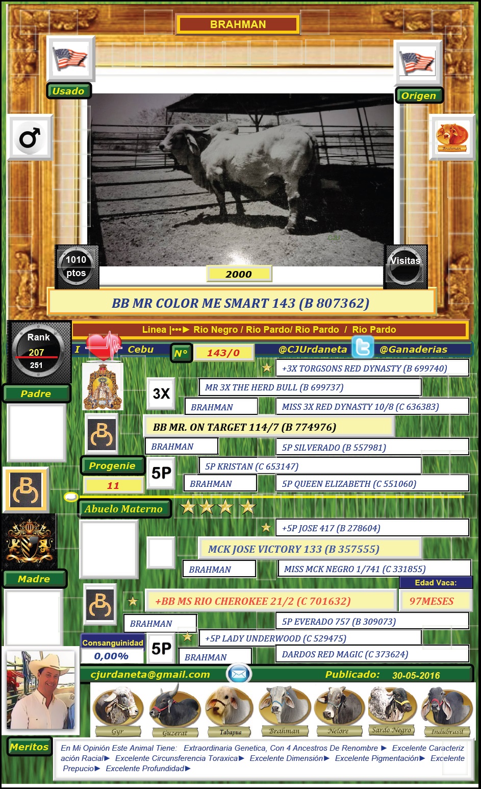 CEBÚ ♥ ♥ ♥ ZEBÚ♔♕♖♗♘ LA PASIÓN POR EL #CEBÚ #ZEBU: BB MR COLOR ME SMART ...