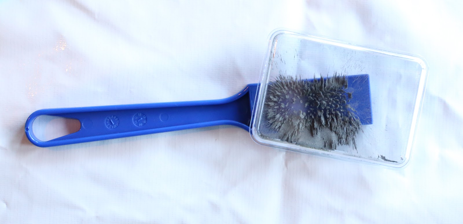 Science Discovery Bins