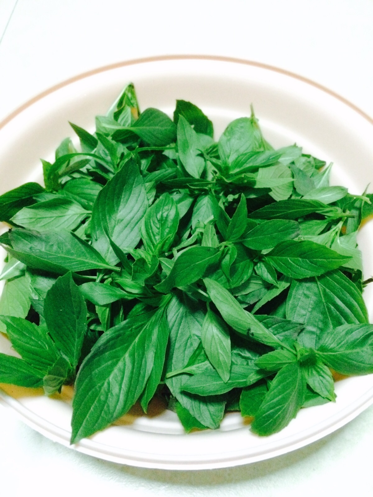 Triple - F : Basil Leaf 九层塔 (Jiu Ceng Ta)