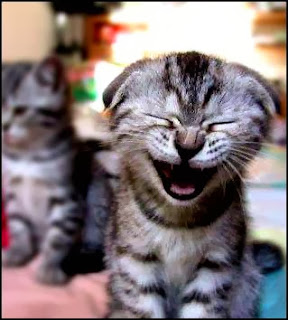 Llorar de risa | fotos bonitas para enamorar