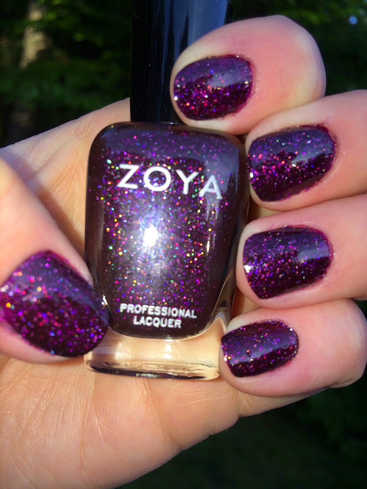 The Manic Painteress: Zoya Payton and Zoya Storm: Reviews and Swatches