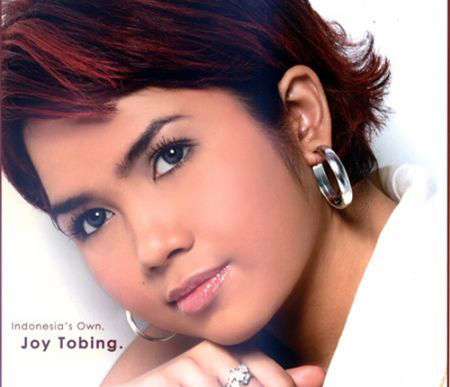 The Winners of Singing Competitions Belonging to the Idol Series ...