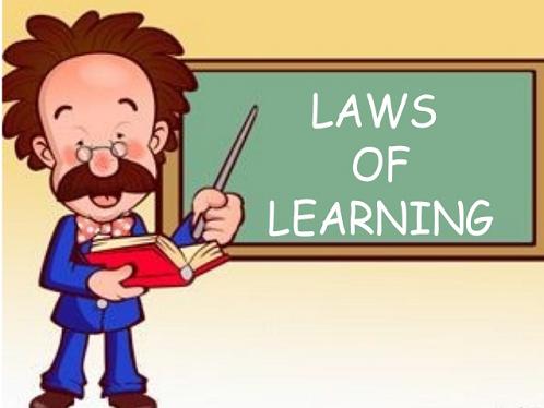 Study Points: Give an account of the laws of learning in detail