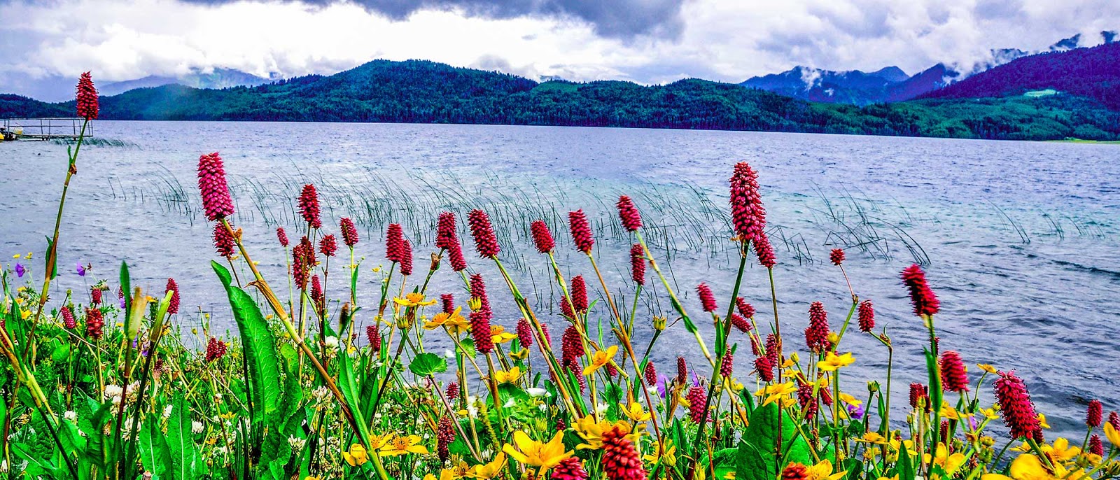 NEPAL,S RARA LAKE ,THE “ QUEEN Of LAKES”